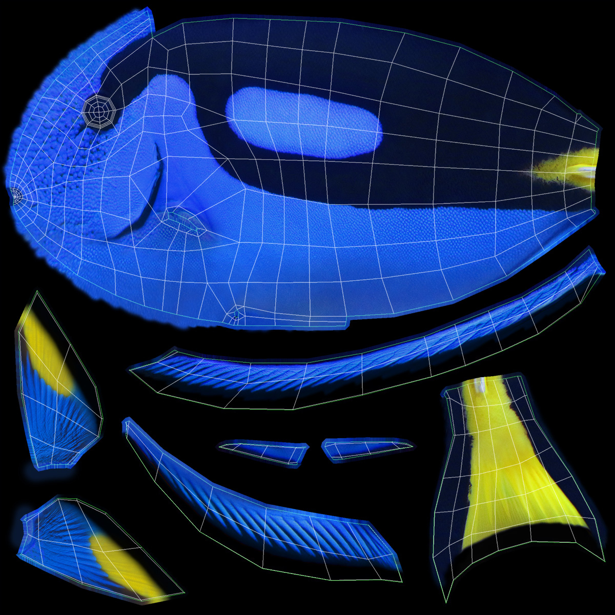 3D saltwater fish 2 model - TurboSquid 1510777