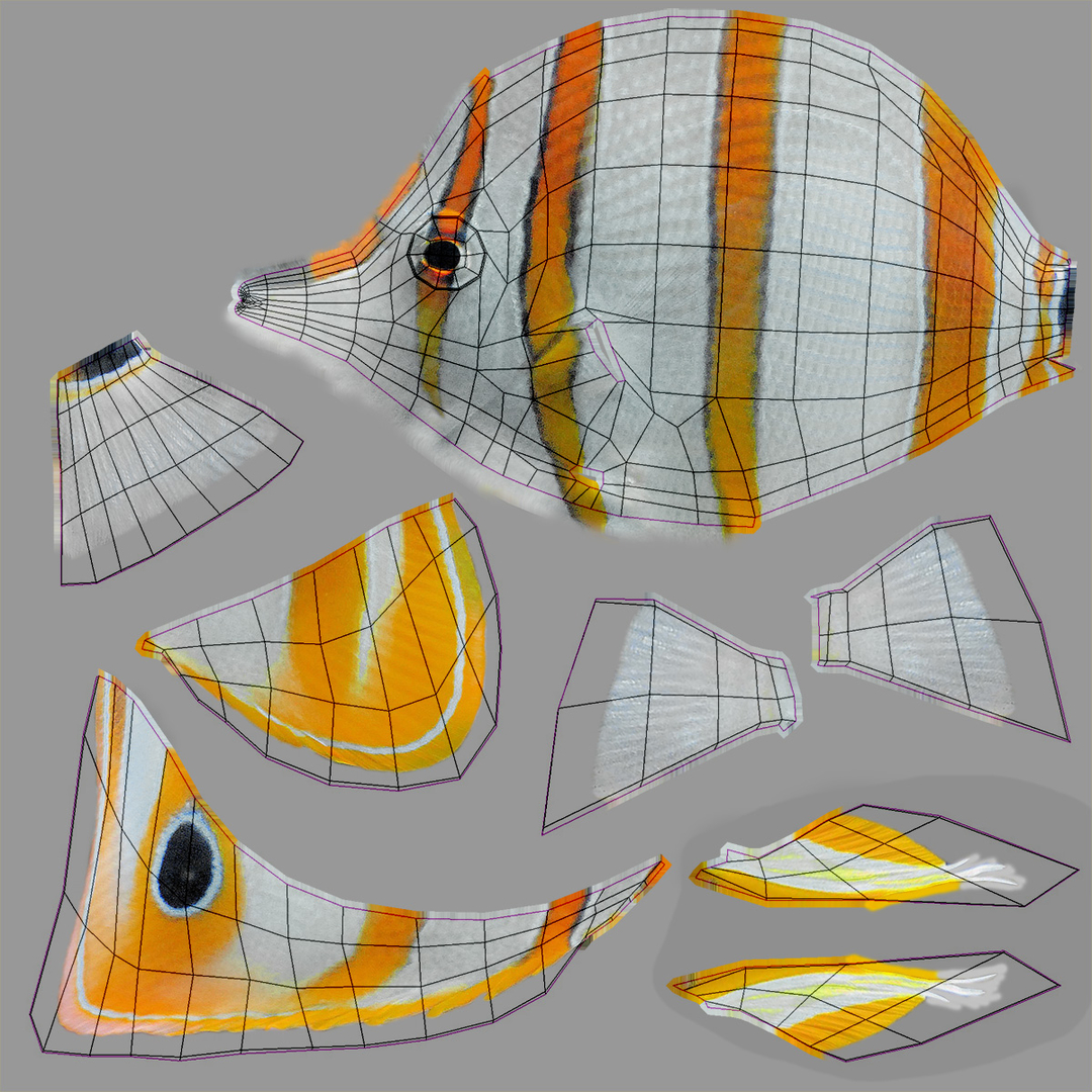 3D saltwater fish 2 model - TurboSquid 1510777