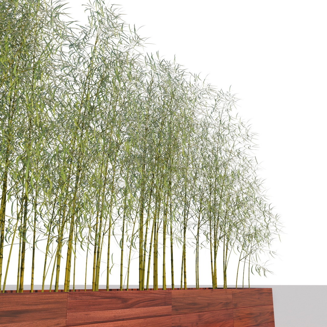 3d bamboo trees