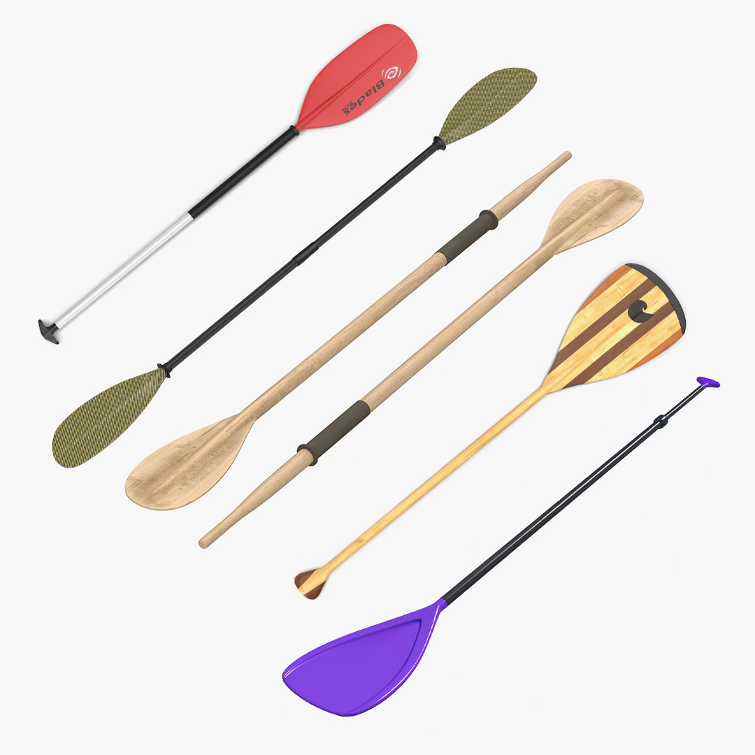3D paddles 3 model - TurboSquid 1501294