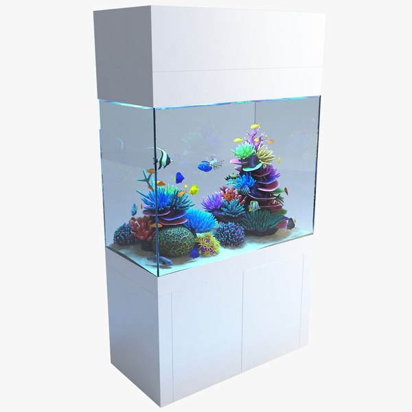 3D Aquarium Models | TurboSquid