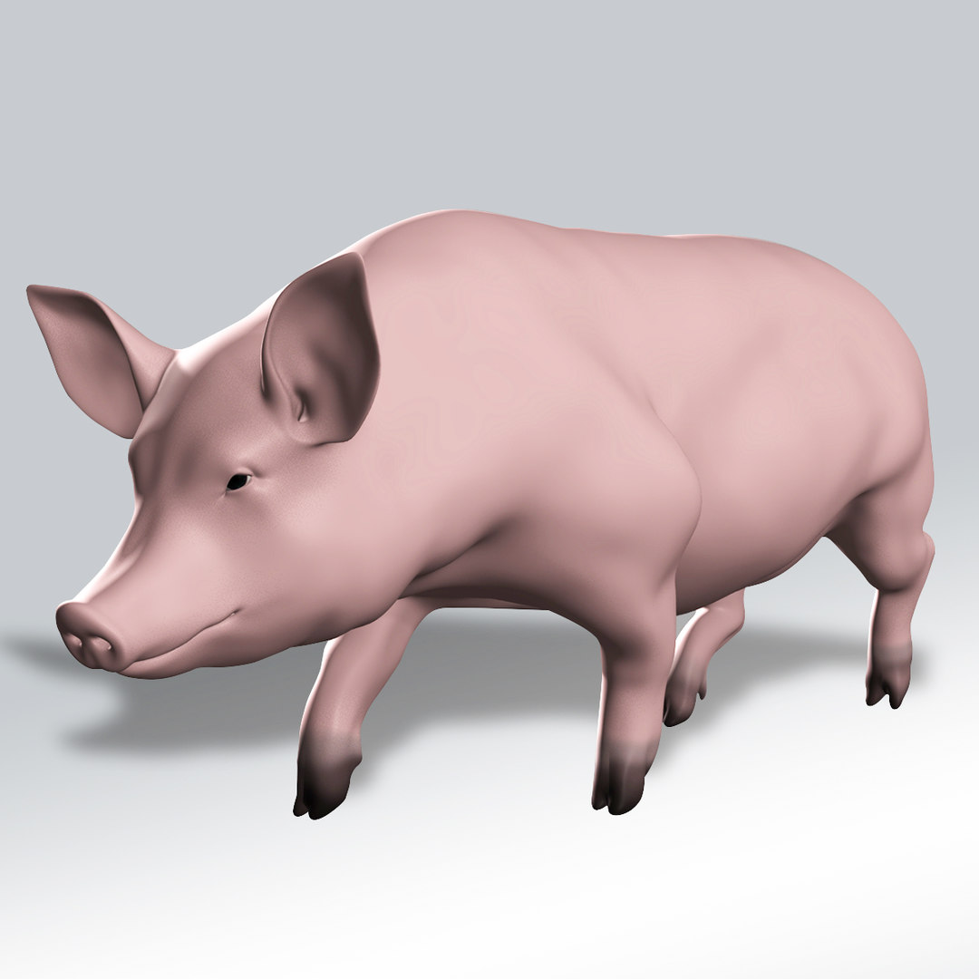 3D pig rigged - TurboSquid 1494553