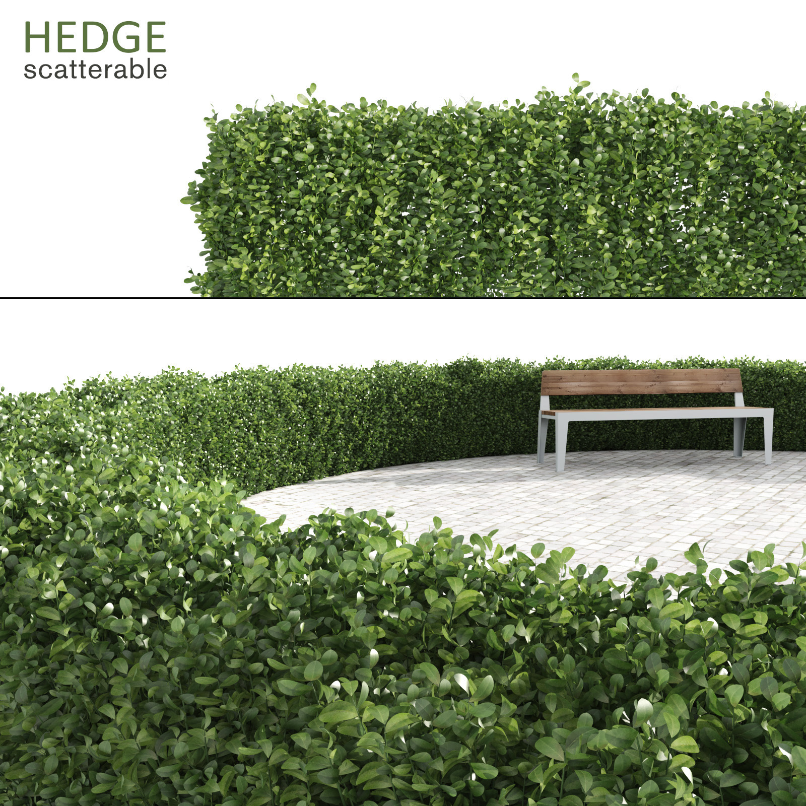 realistic hedges max