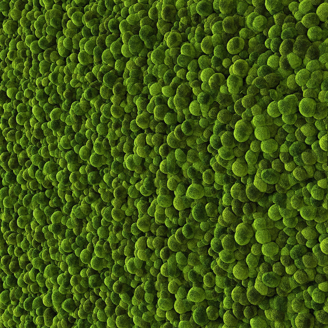 Moss 3D - TurboSquid 1497721