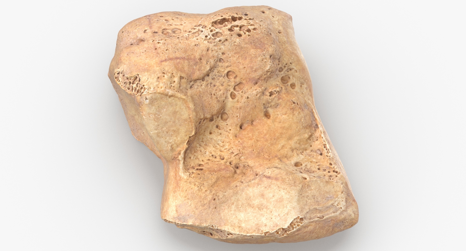 3D cuneiform bone medial 01 - TurboSquid 1503294