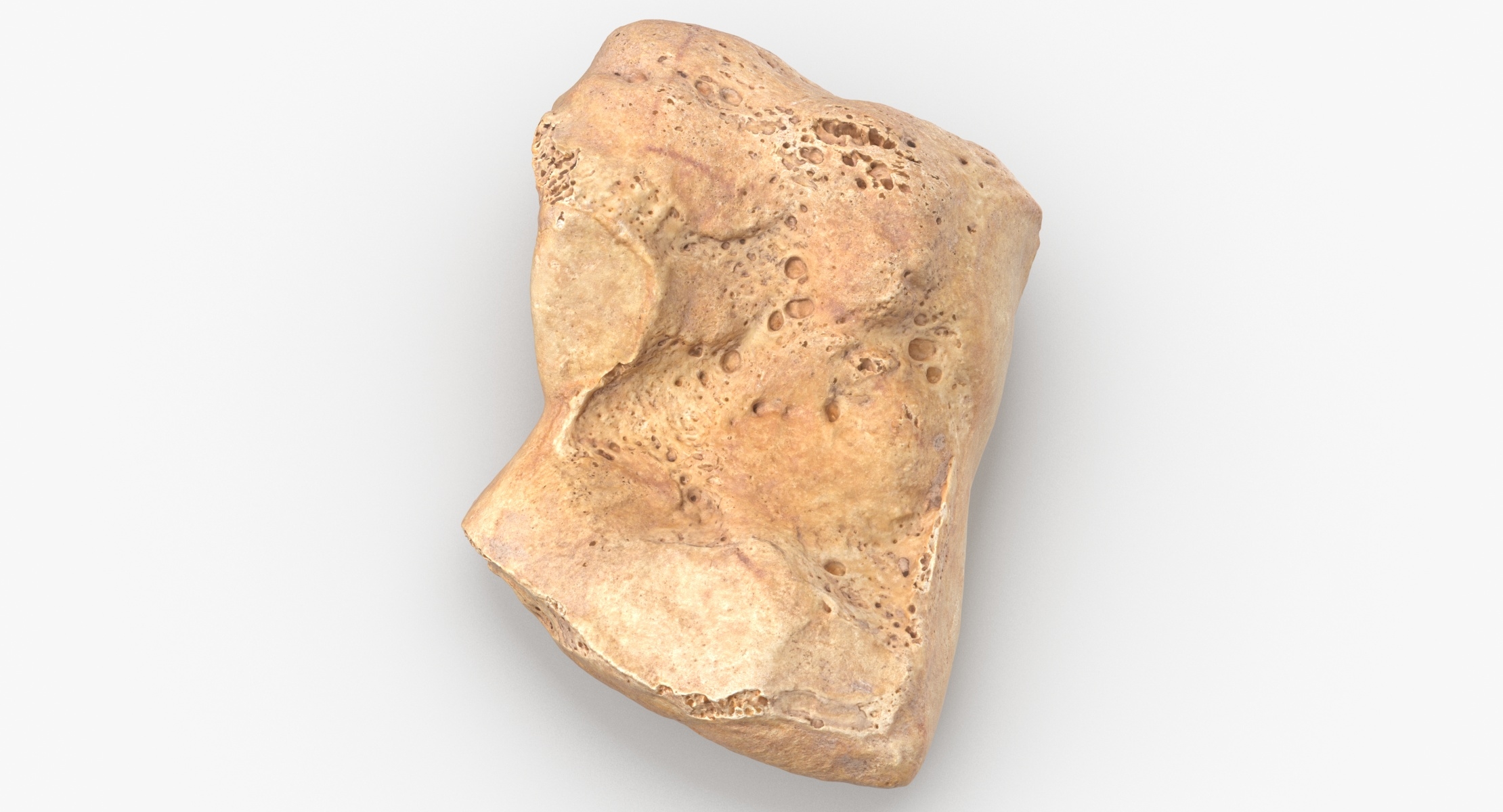 3D cuneiform bone medial 01 - TurboSquid 1503294