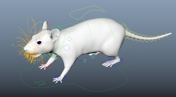 Rat rigged fur animations 3D model - TurboSquid 1503369
