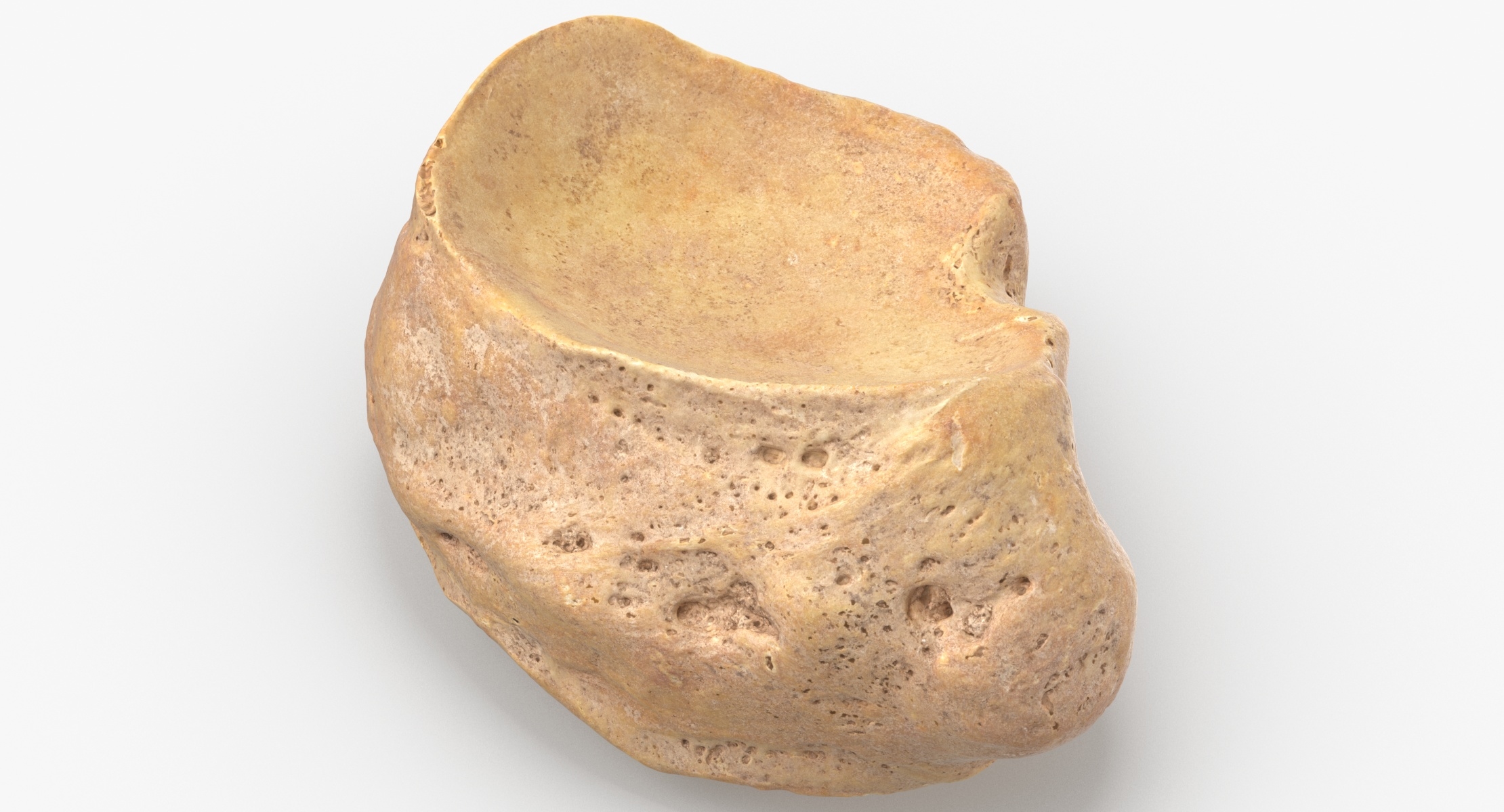 3D navicular bone - TurboSquid 1501748