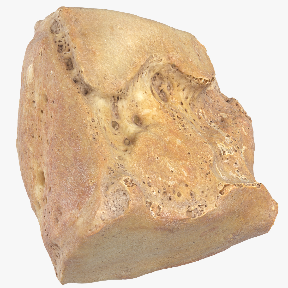 Cuneiform bone intermediate 01 3D model - TurboSquid 1505117