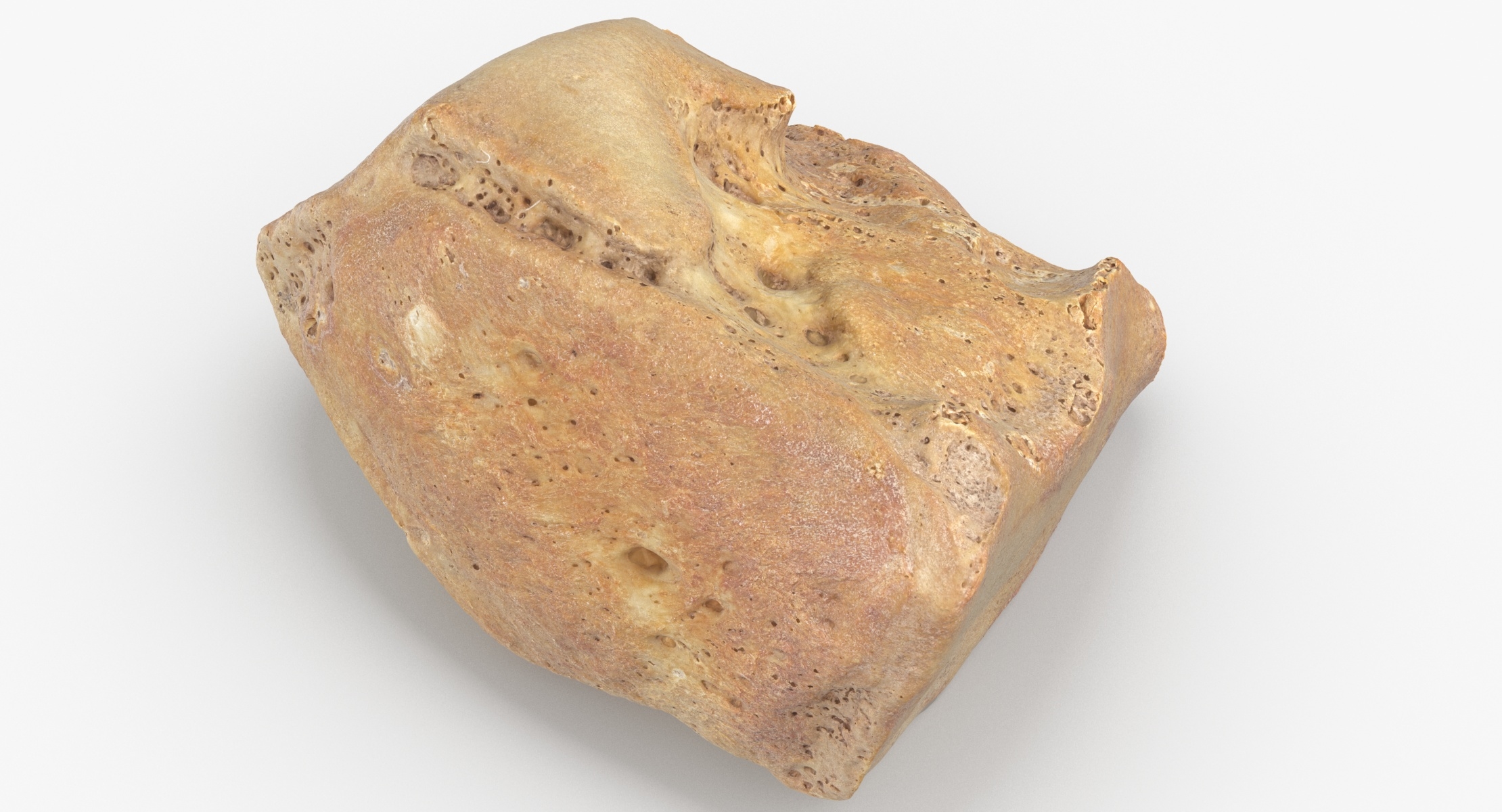 Cuneiform bone intermediate 01 3D model - TurboSquid 1505117