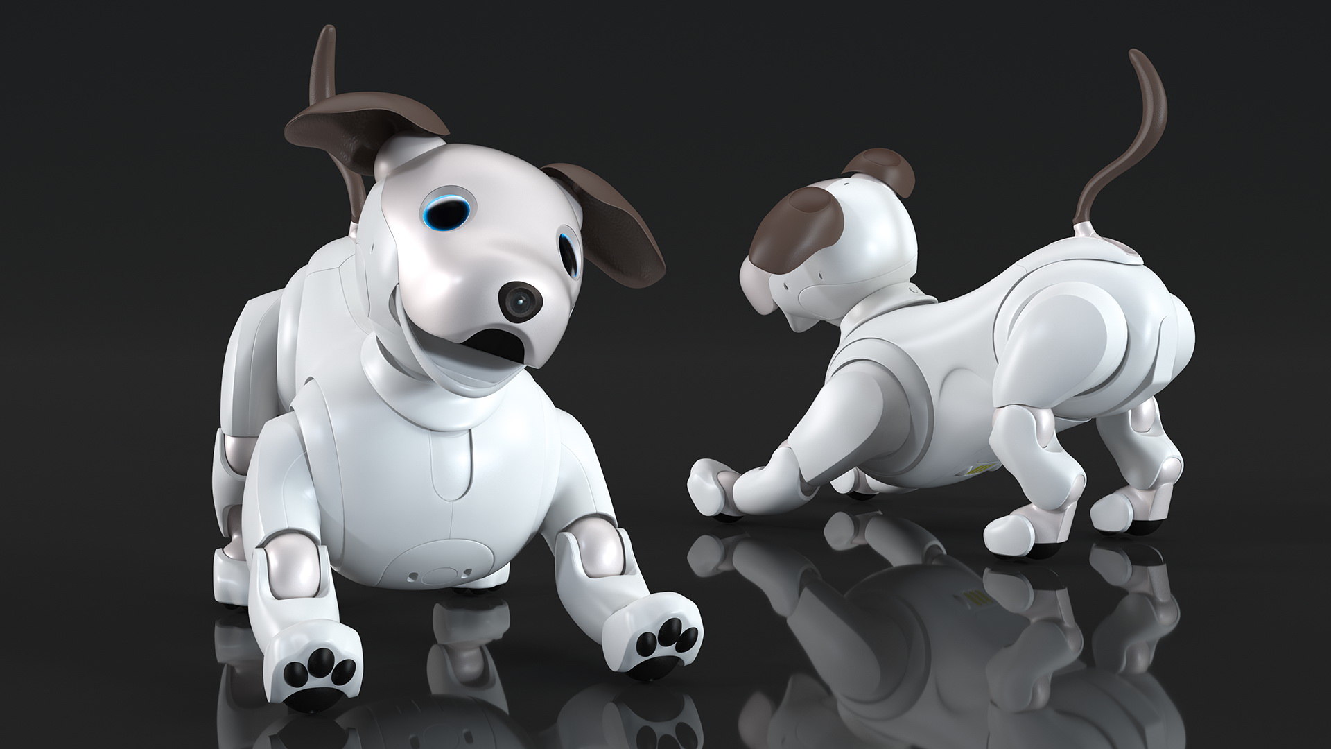 3D sony aibo 2017 playing - TurboSquid 1505903