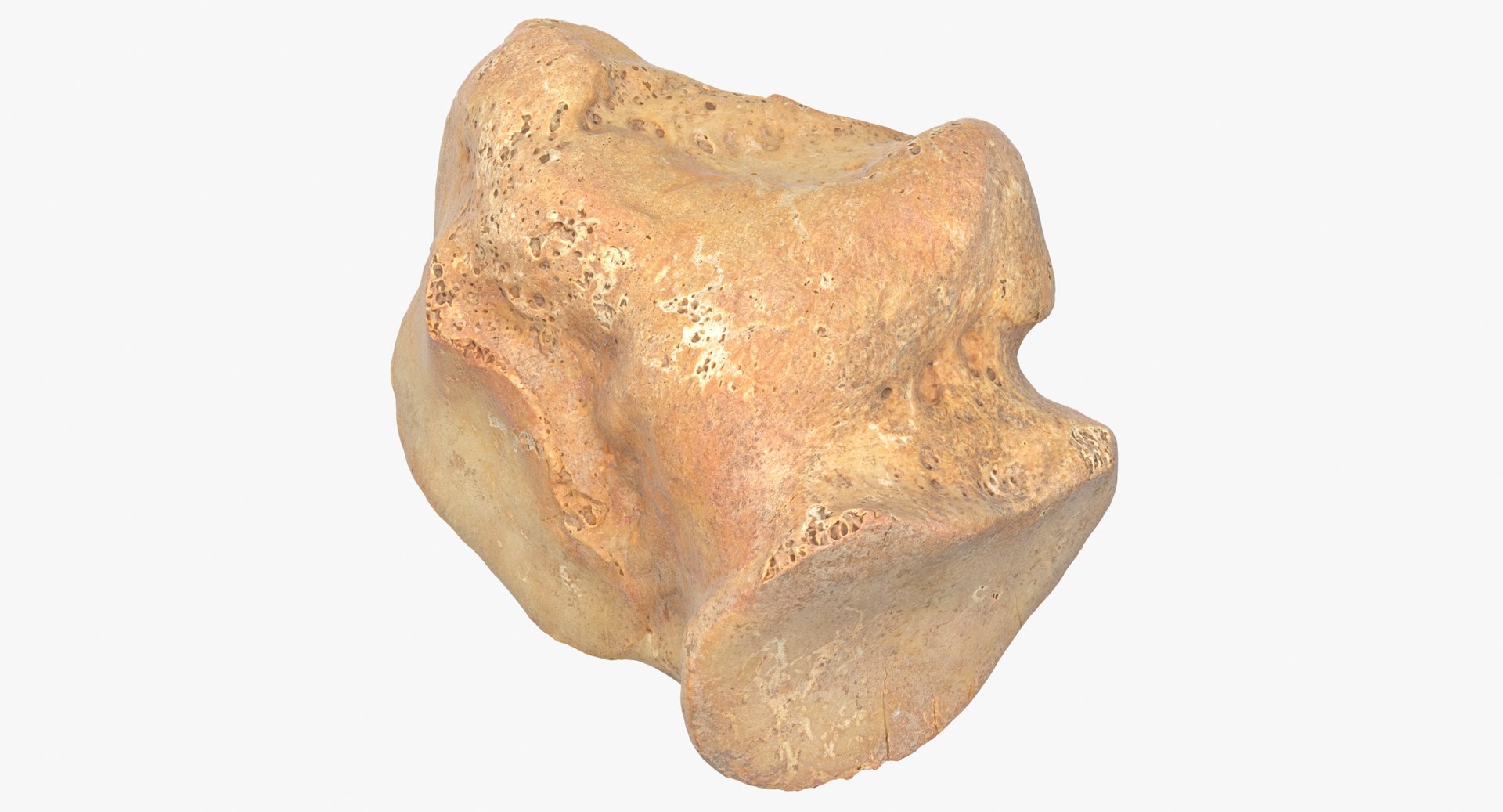 3D cuboid bone 01 model - TurboSquid 1506098
