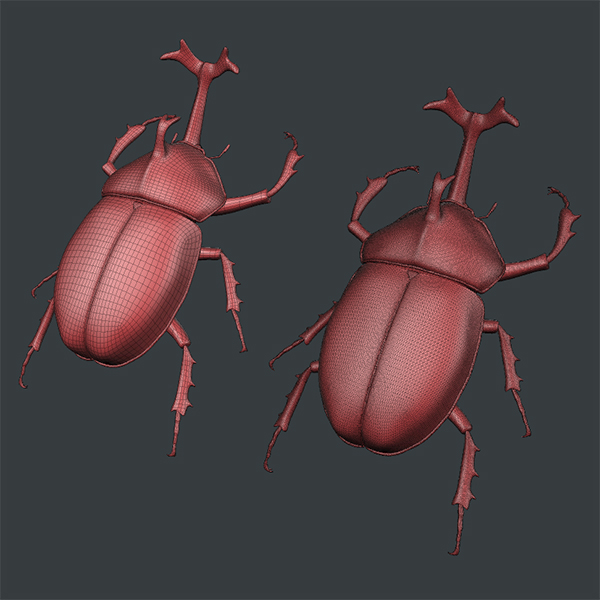 insect beetle 3d model