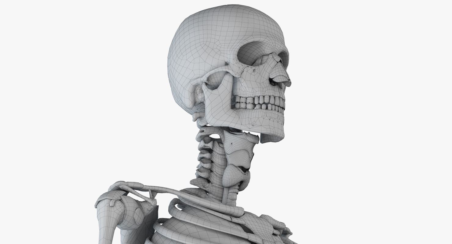 3D skin obese male skeleton model - TurboSquid 1508784