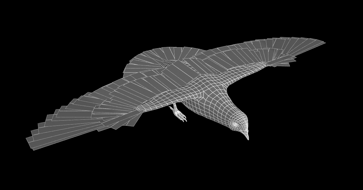 Dove 3D model - TurboSquid 1501697