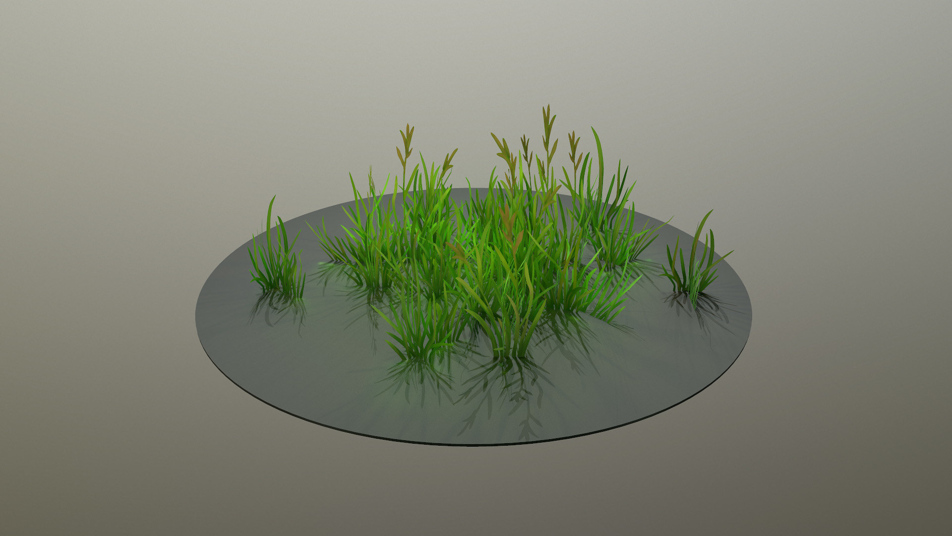 3D green grass model - TurboSquid 1507484