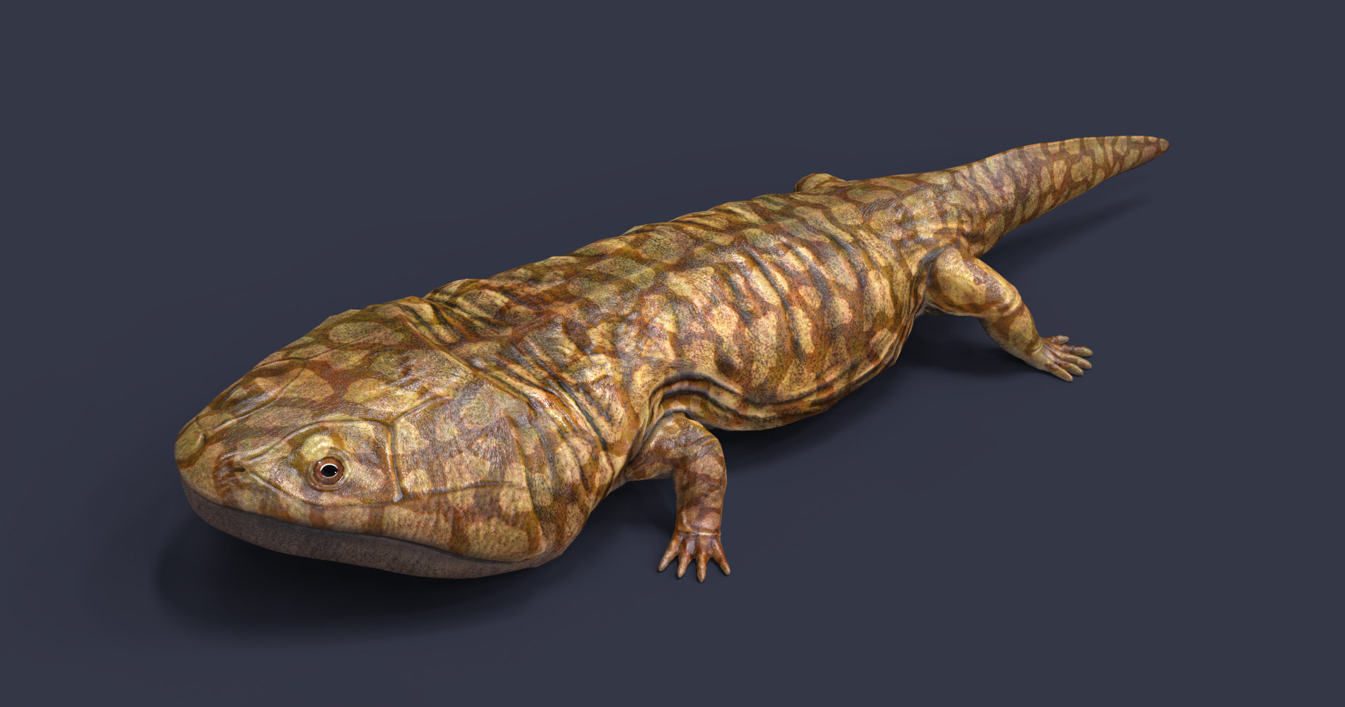 3D extinct amphibian model - TurboSquid 1502195