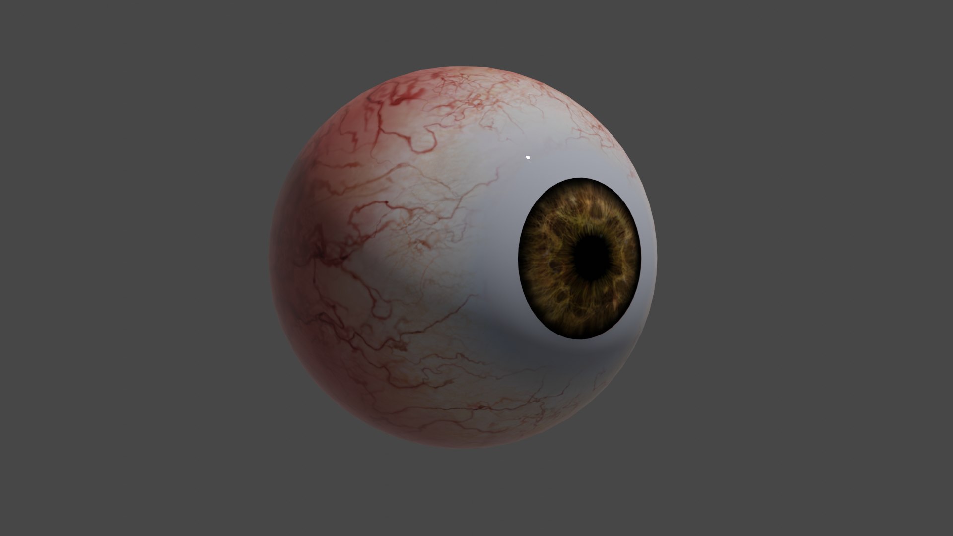 Ojo humano 3D model - TurboSquid 1508038