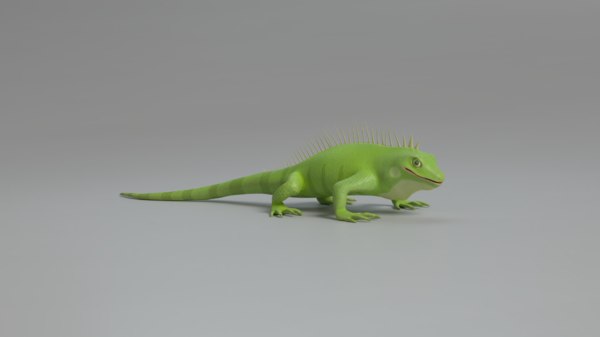 3D cartoon iguana - TurboSquid 1508508