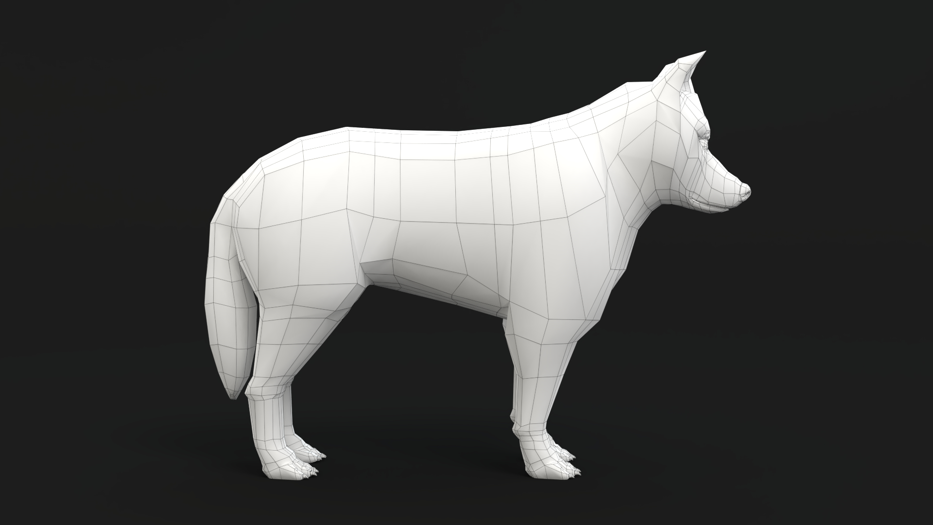 Animowany Wilk Model 3D - TurboSquid 1508533
