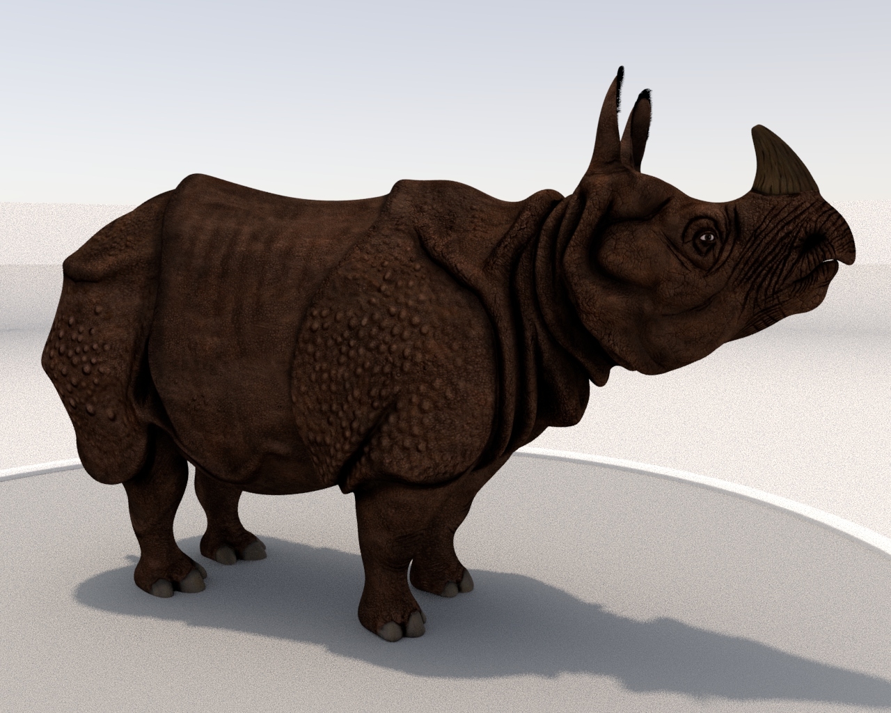 Rhinoceros 3D model - TurboSquid 1508848