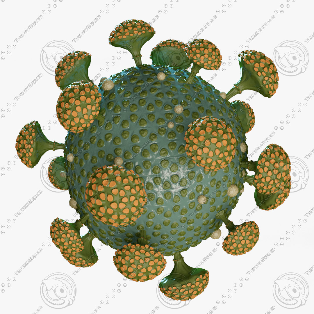 3D model coronaviruses coronaviridae isolated - TurboSquid 1508982