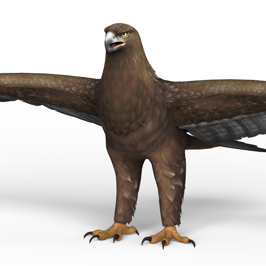 Ready eagle 3D model - TurboSquid 1509051
