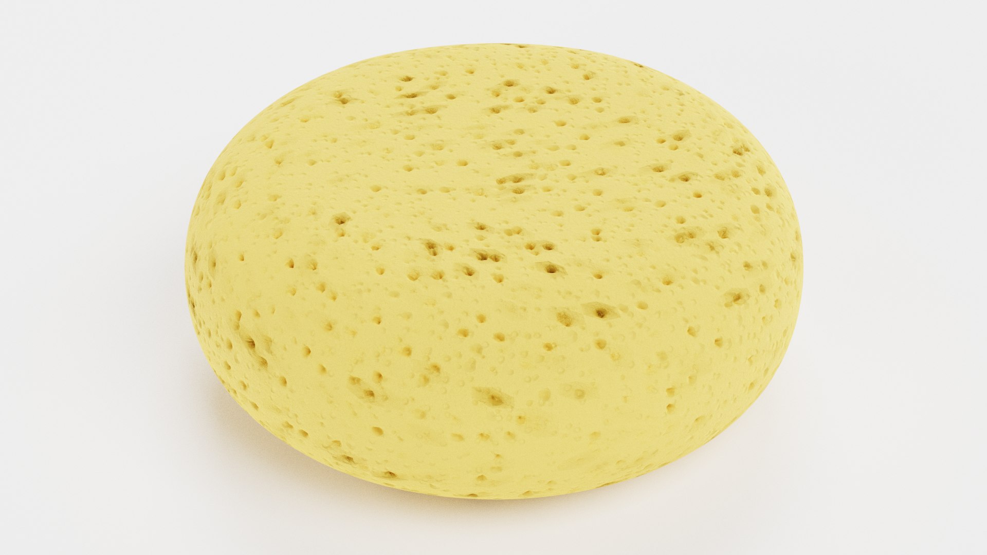 3D sponge pbr model - TurboSquid 1509093