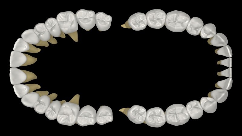 Arch permanent human teeth 3D model - TurboSquid 1509122