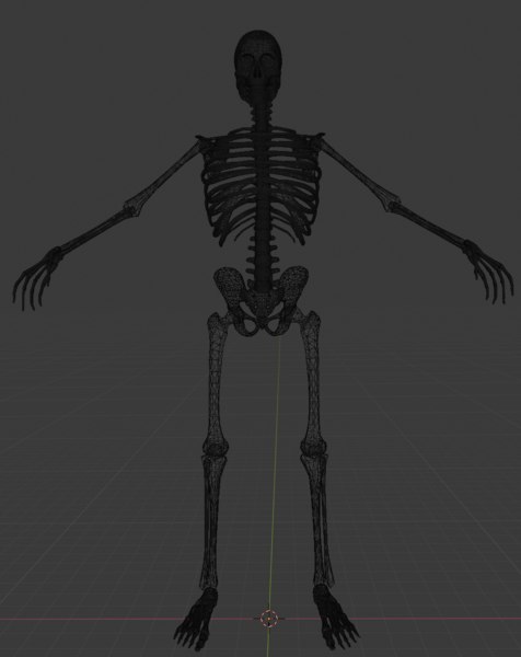 Human Skeleton Blender Models for Download | TurboSquid