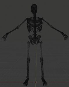 Human Skeleton Blender Models for Download | TurboSquid