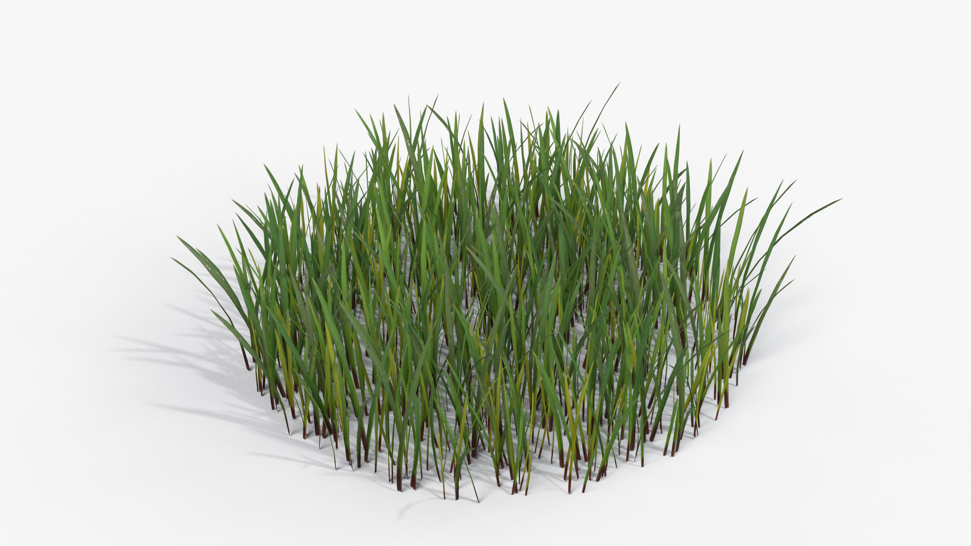 Grass cluster 002 - model - TurboSquid 1510586