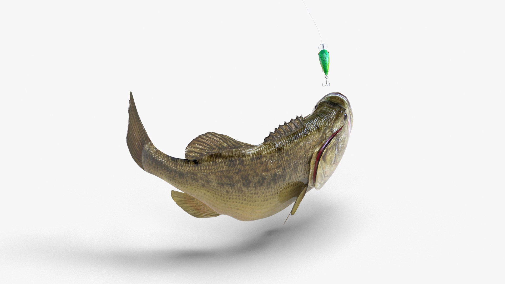 Largemouth bass 3D model - TurboSquid 1510711