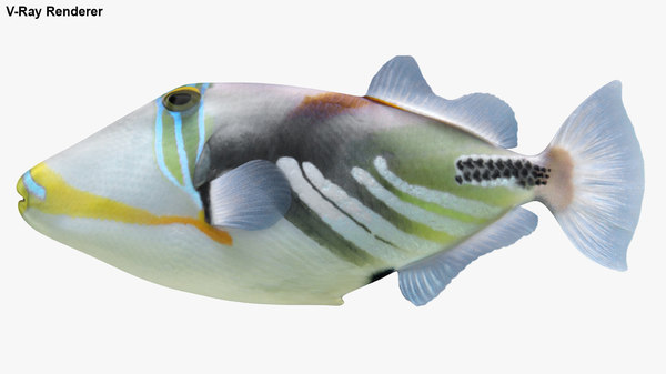 3D saltwater fish 2 model - TurboSquid 1510777