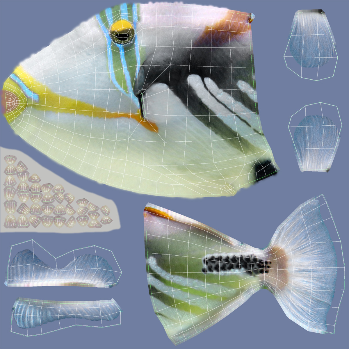 Saltwater fish rigged 3D model - TurboSquid 1514476