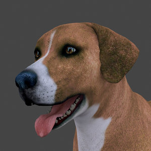 Animated Dog 3D Models for Download | TurboSquid