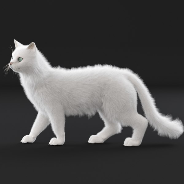 Cat 3ds Max Models for Download | TurboSquid