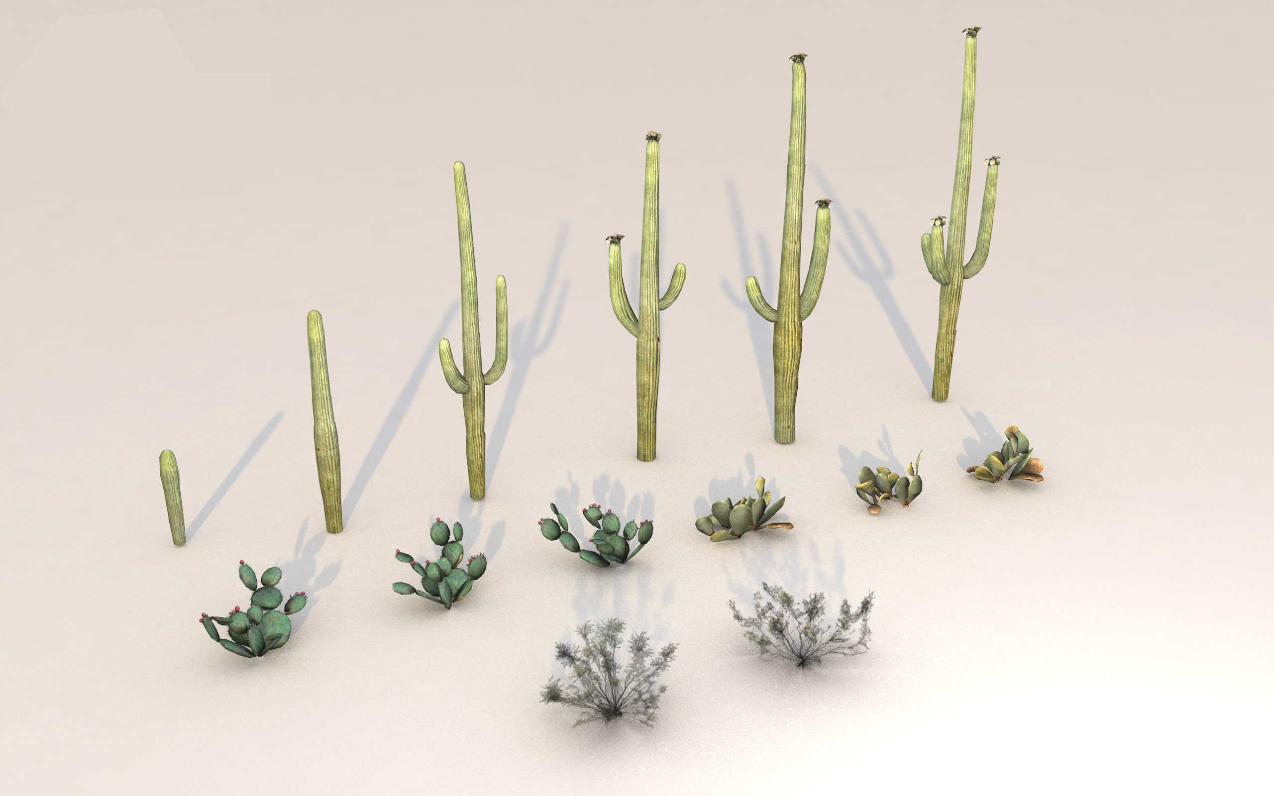 Desert plant 3D model - TurboSquid 1511554