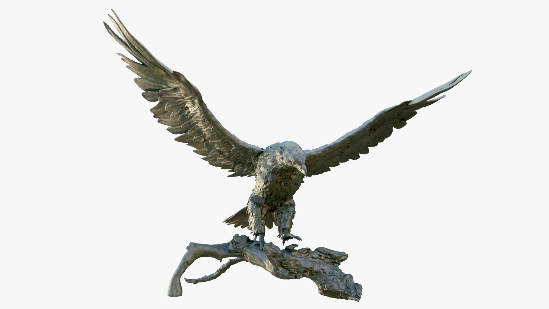 3D model hawk bronze statue - TurboSquid 1512261