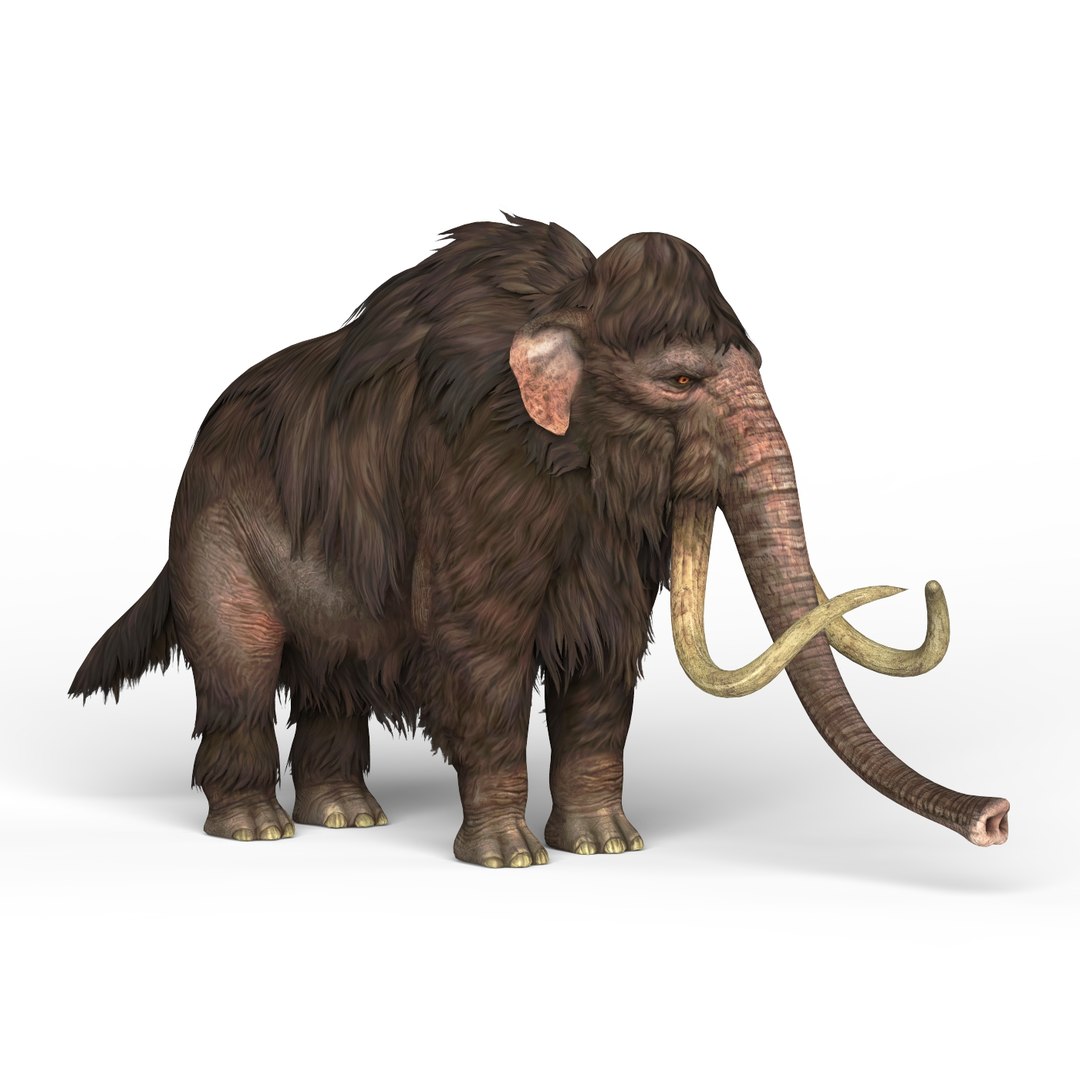 3D model mammoth elephant - TurboSquid 1512450