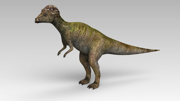 3d pachycephalosaurus dinosaurs lizard