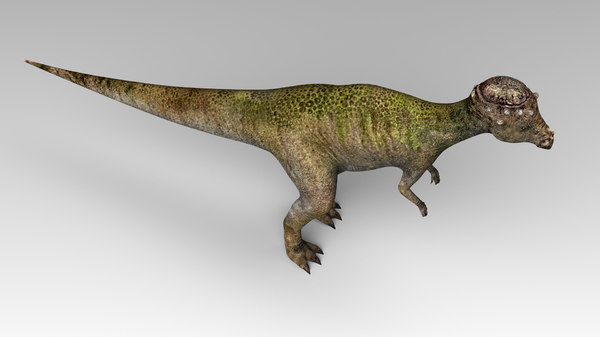 3d pachycephalosaurus dinosaurs lizard