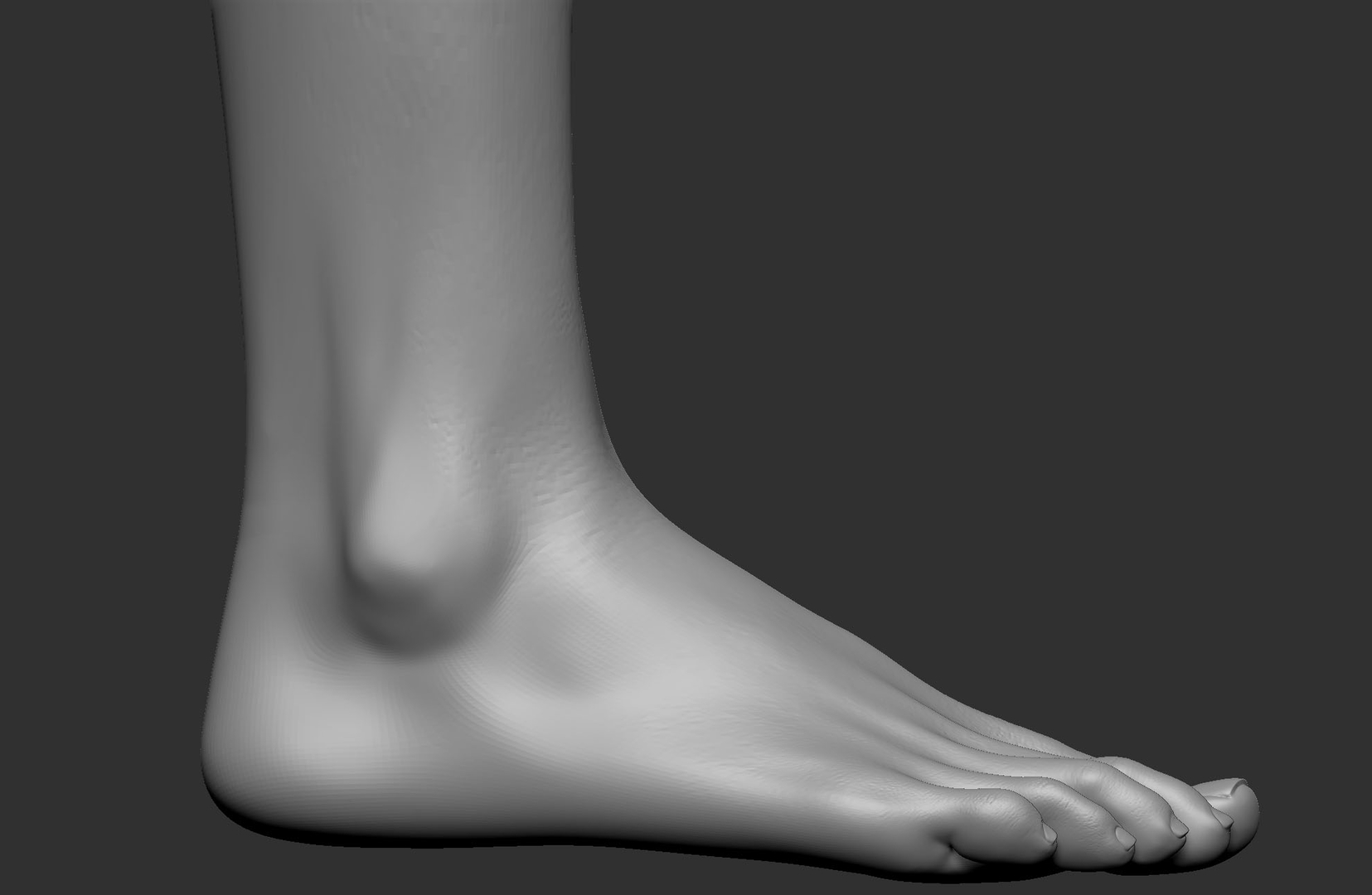Human foot 3D model - TurboSquid 1513287