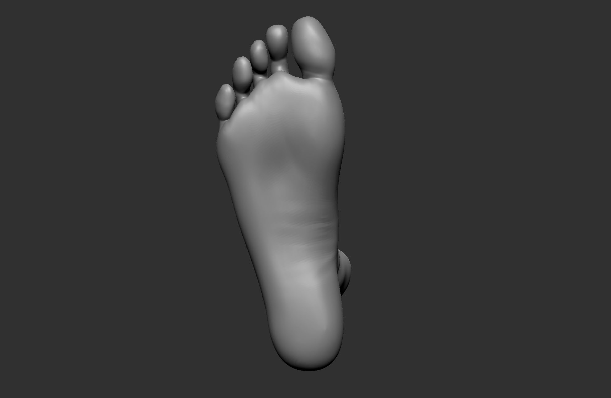 Human foot 3D model - TurboSquid 1513287