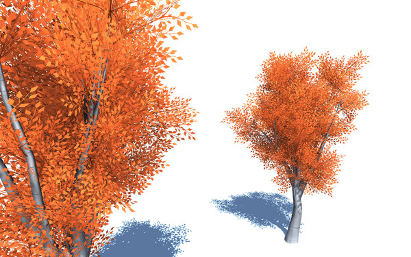 3D stylized colorful leafs tree model - TurboSquid 1513615