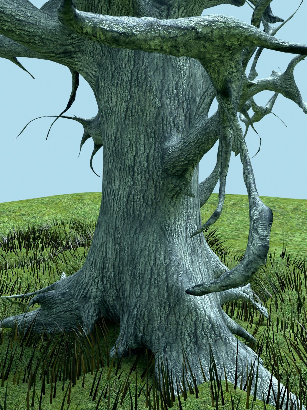 말린 나무 3D 모델 - TurboSquid 1513770