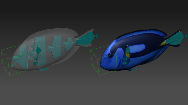 Saltwater fish rigged 3D model - TurboSquid 1514476