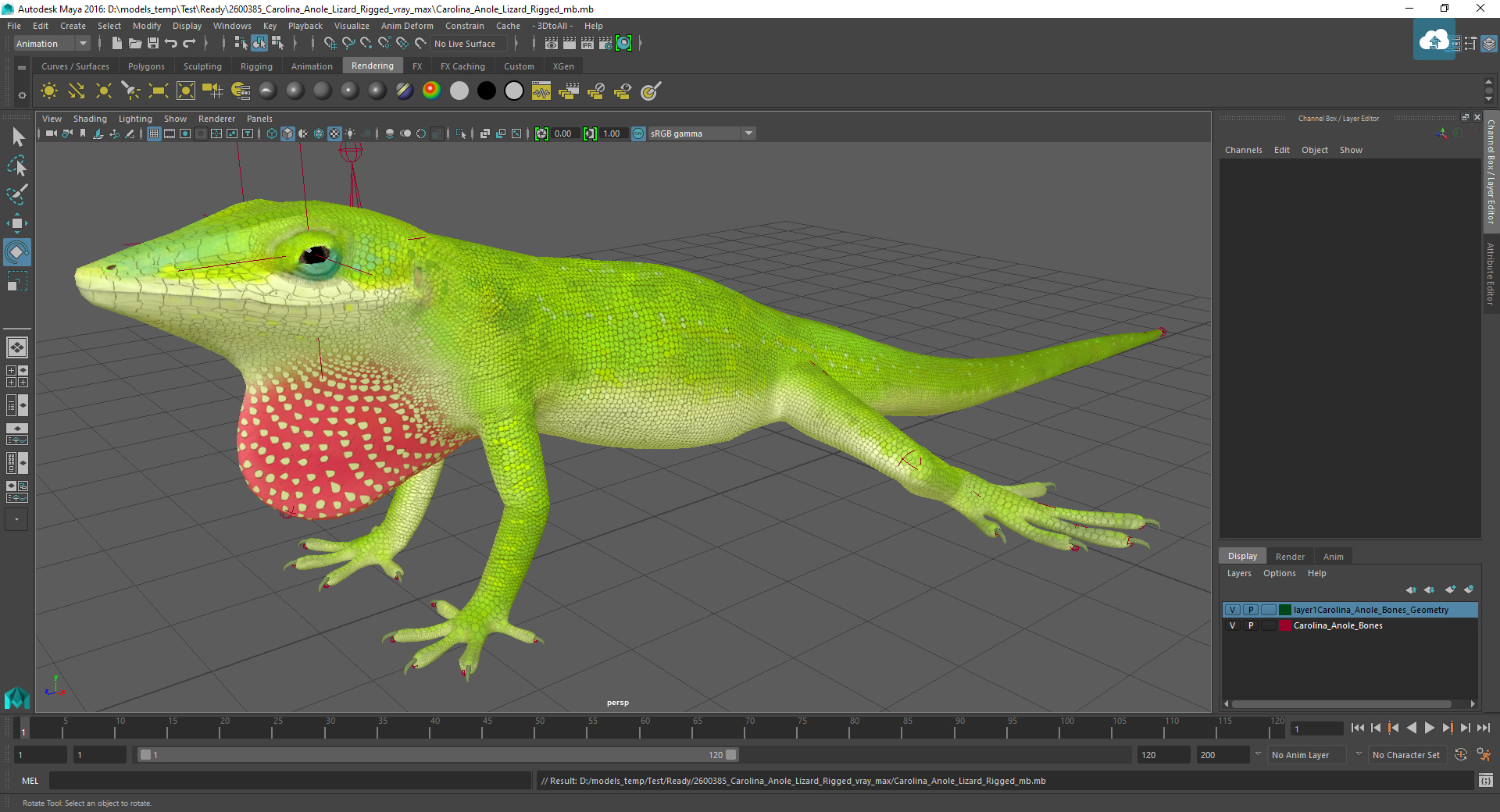 Lizards rigged 2 3D model - TurboSquid 1514886