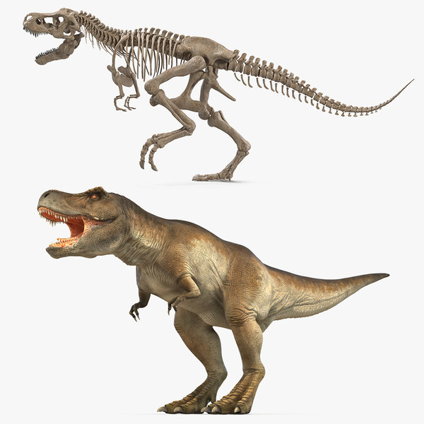 Free Rigged 3D T-Rex Models | TurboSquid