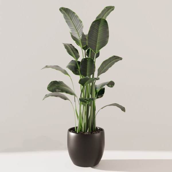 3D small plant model - TurboSquid 1271066